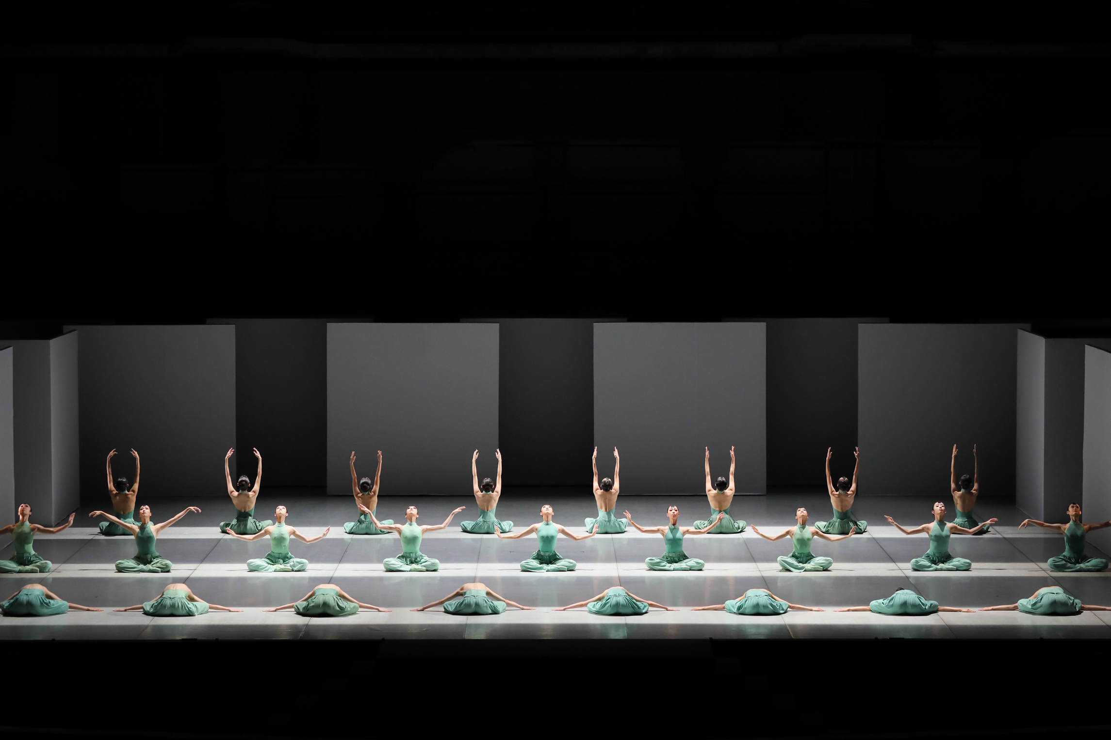 The Tokyo Ballet's "M": Special Viewing Plan with Multilingual ...