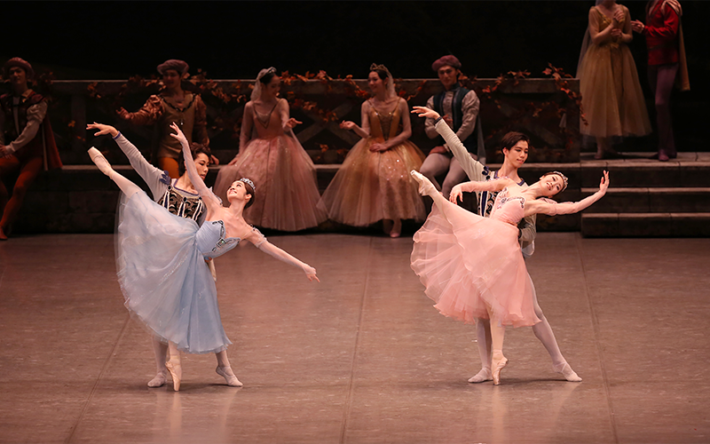 Introduction / 2018, The Tokyo Ballet (June 2018): Swan Lake / NBS ...